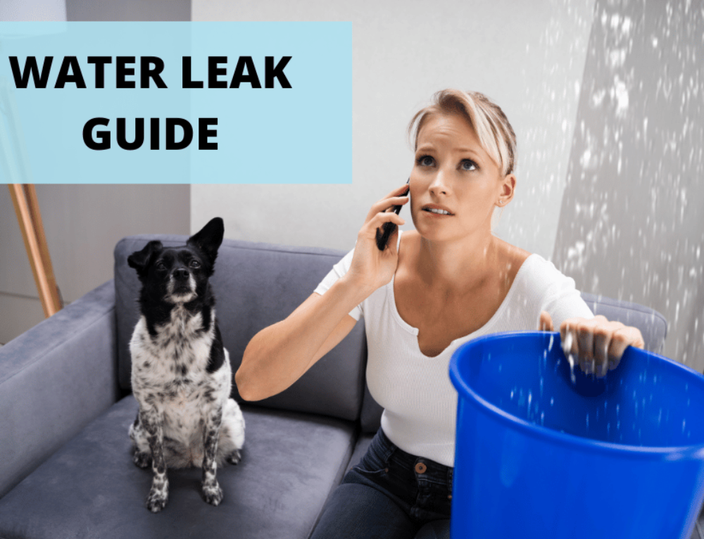 Guide To CCTV Drain Inspections | Refined Plumbing Sunshine Coast Guide To CCTV Drain Inspections | Refined Plumbing Sunshine Coast